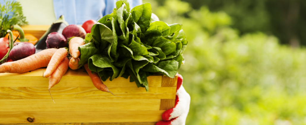 What You Can Learn from Food Supply Chain Examples - Real Time Intelligence